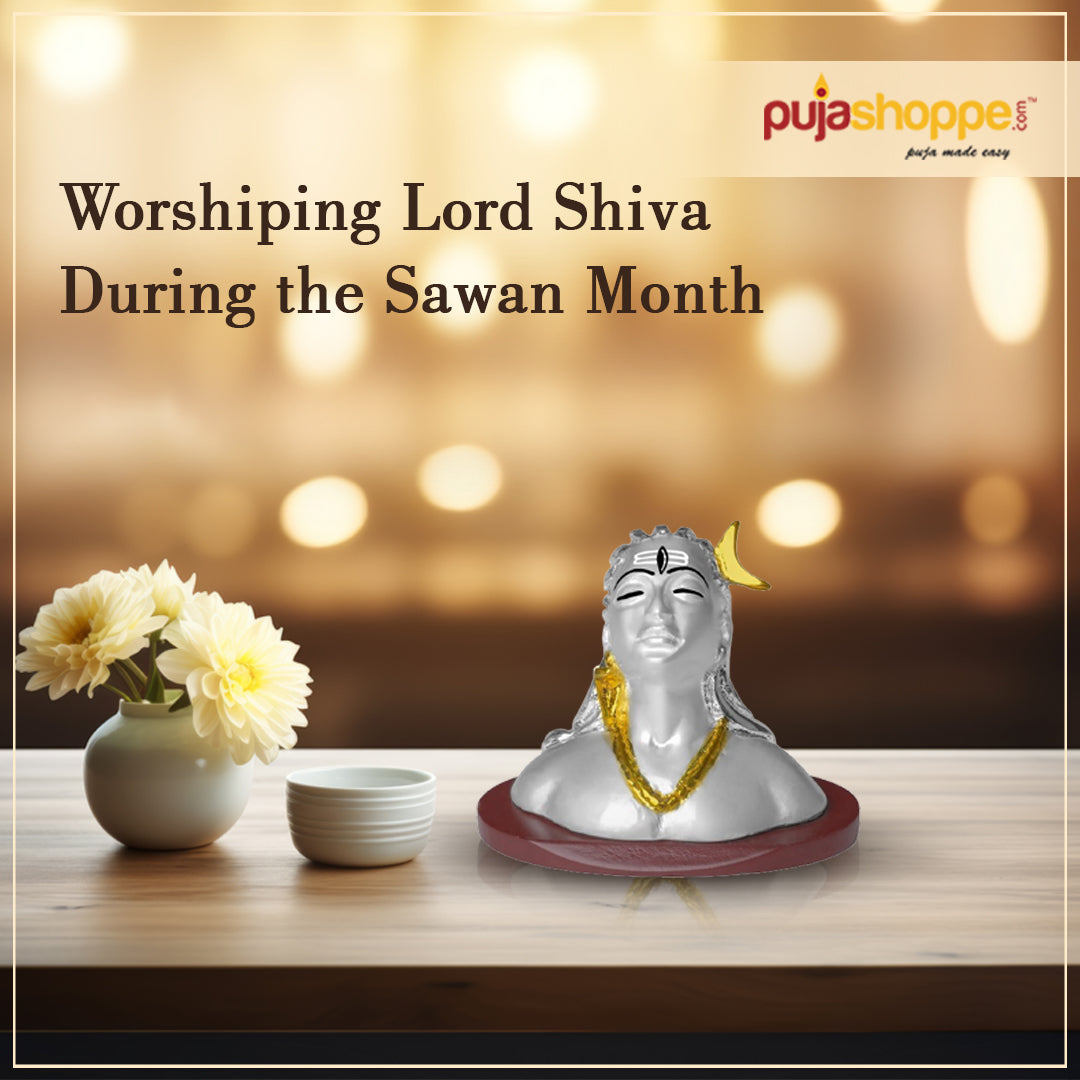Benefits of Worshiping Lord Shiva During Sawan Month – PujaShoppe
